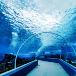 Top 14 Amusement and Theme Parks in the Philippines