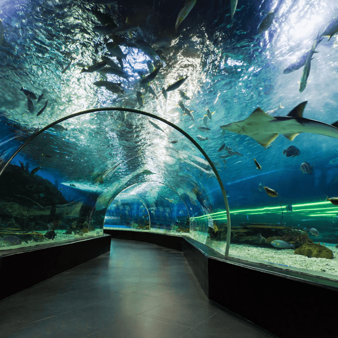 Top 14 Amusement and Theme Parks in the Philippines
