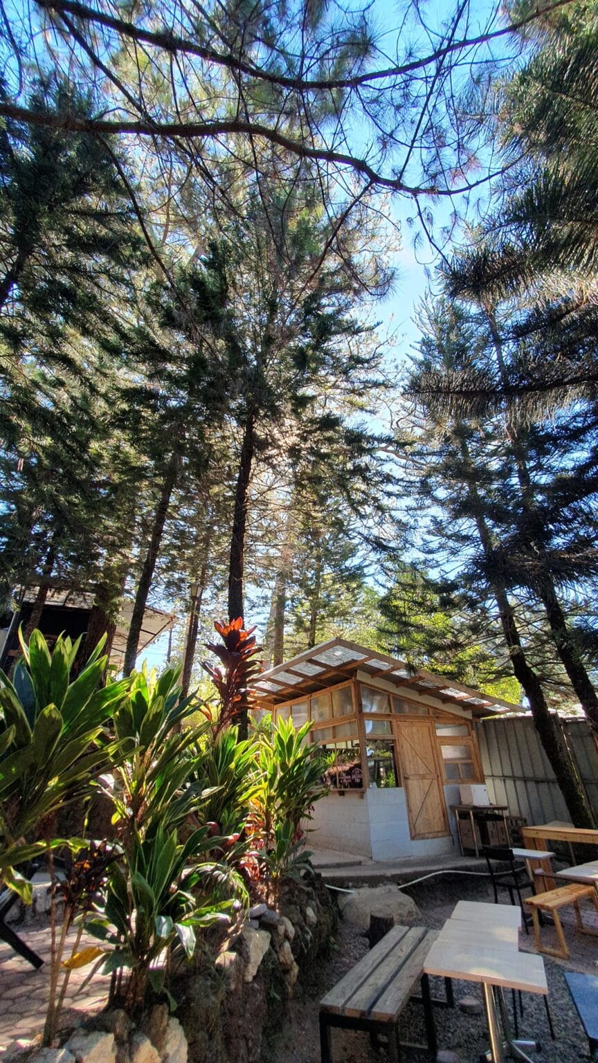 Brew with a View: Explore the best cafes in Baguio