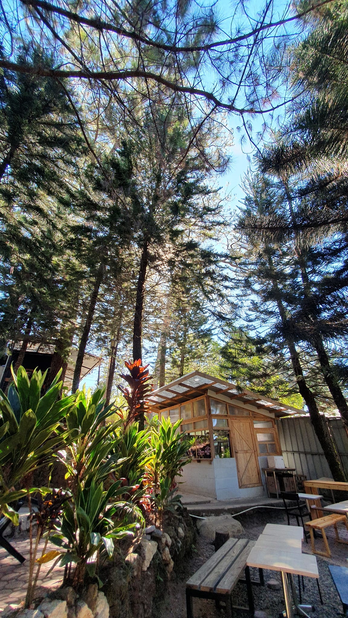 Brew with a View: Explore the best cafes in Baguio