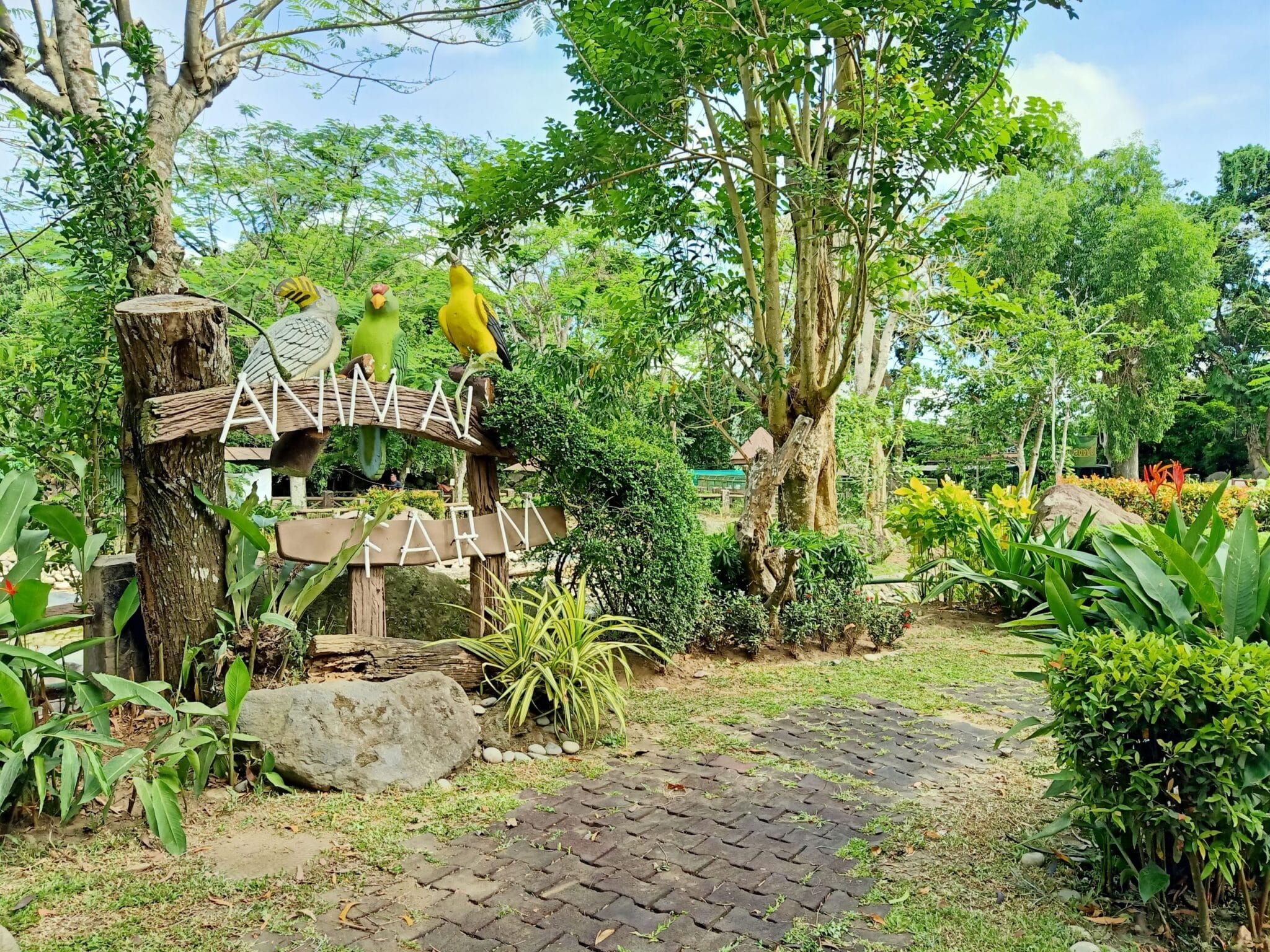 Discover the top 11 Zoos in the Philippines