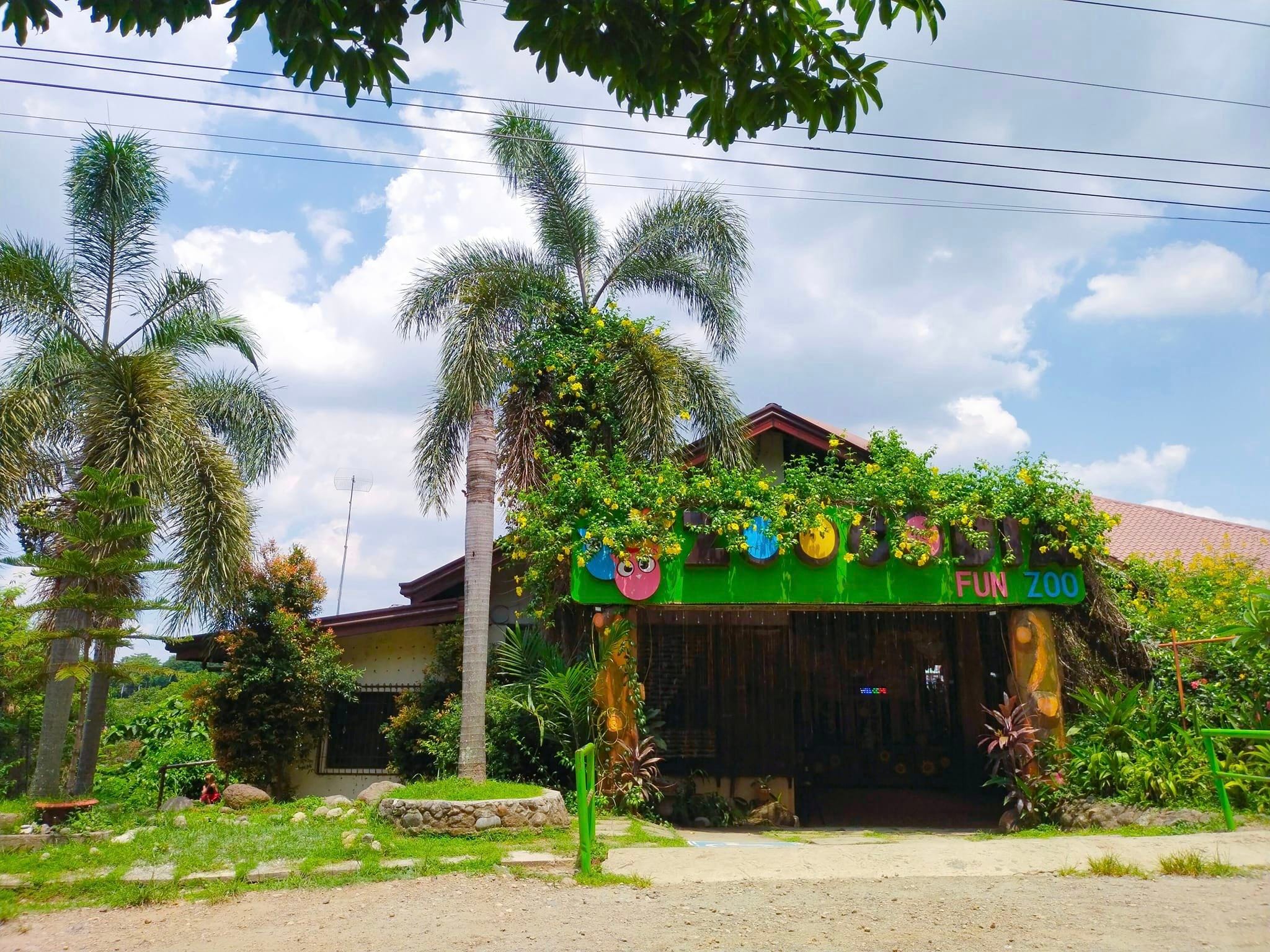 Discover the top 11 Zoos in the Philippines