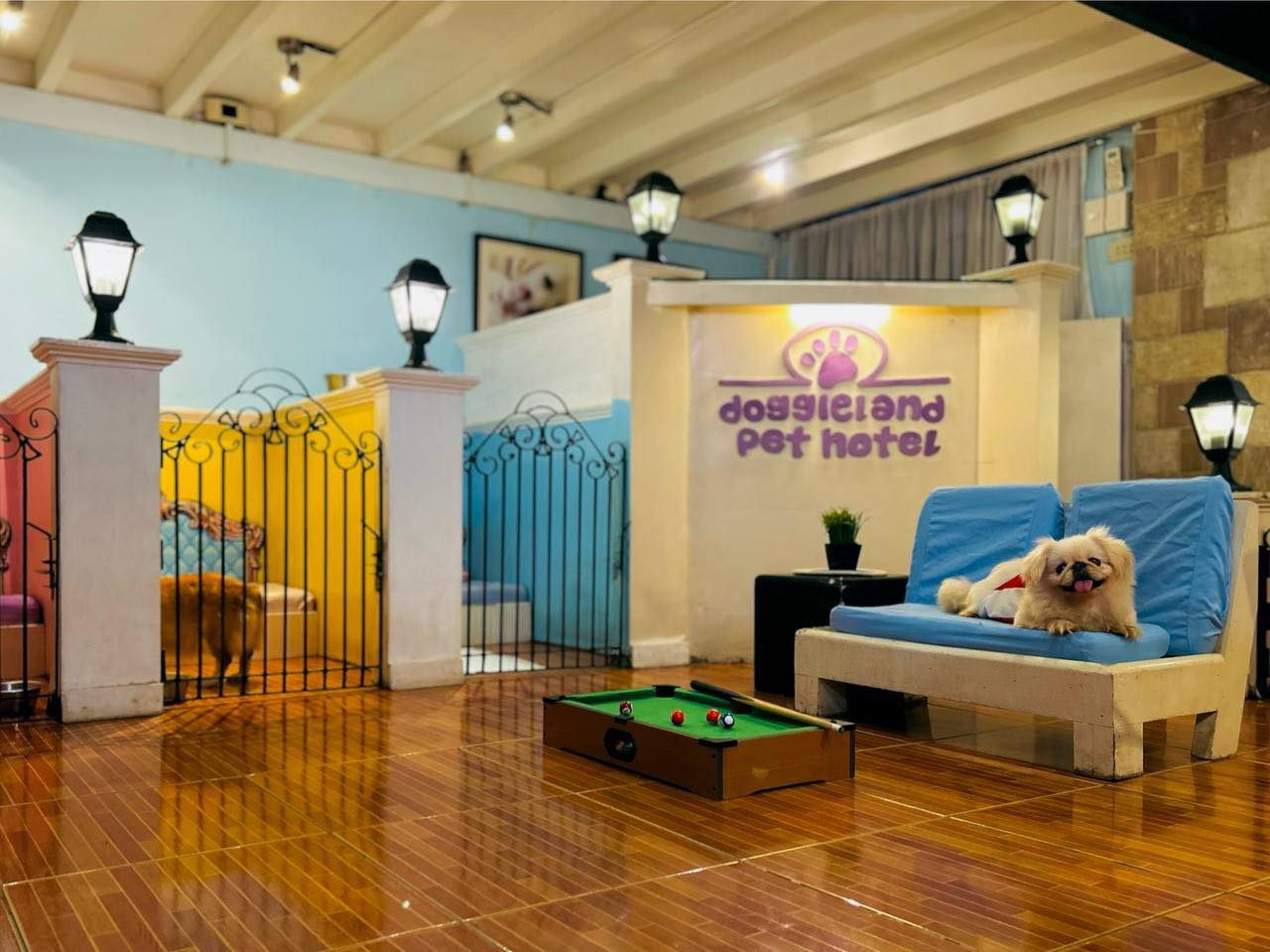 Top 35+ Pet Hotels in Metro Manila