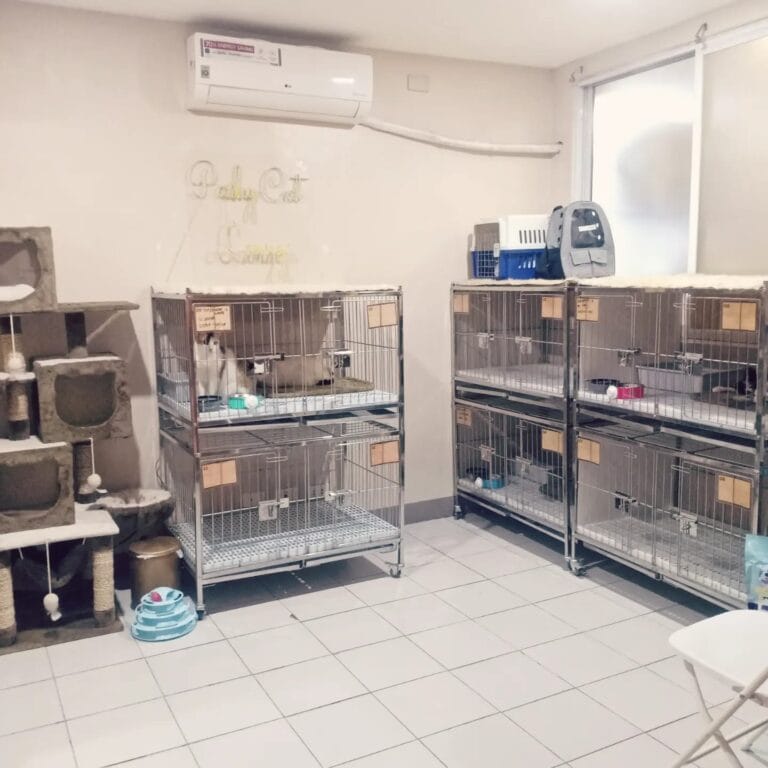 Top 35+ Pet Hotels in Metro Manila