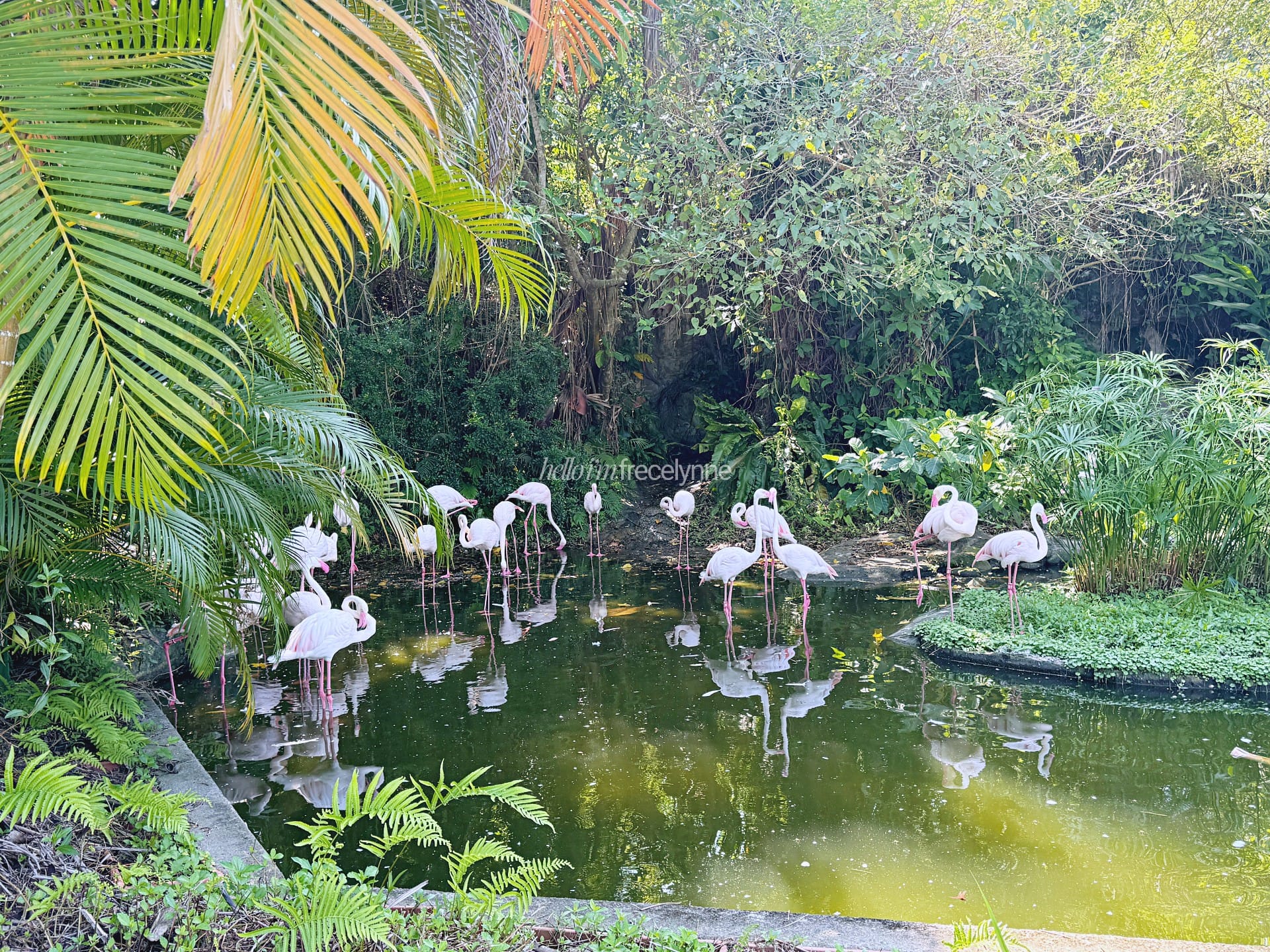 DIY Travel Guide to Taipei Zoo and Maokong Gondola