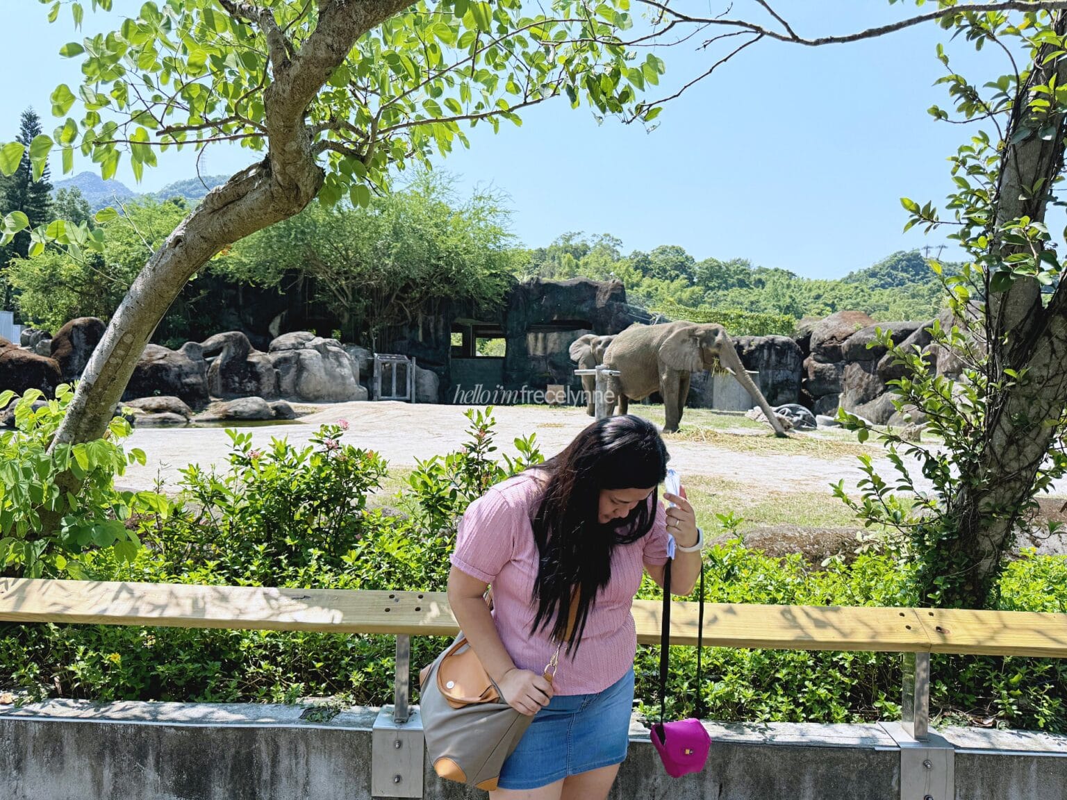 DIY Travel Guide to Taipei Zoo and Maokong Gondola - Hello, I'm Frecelynne