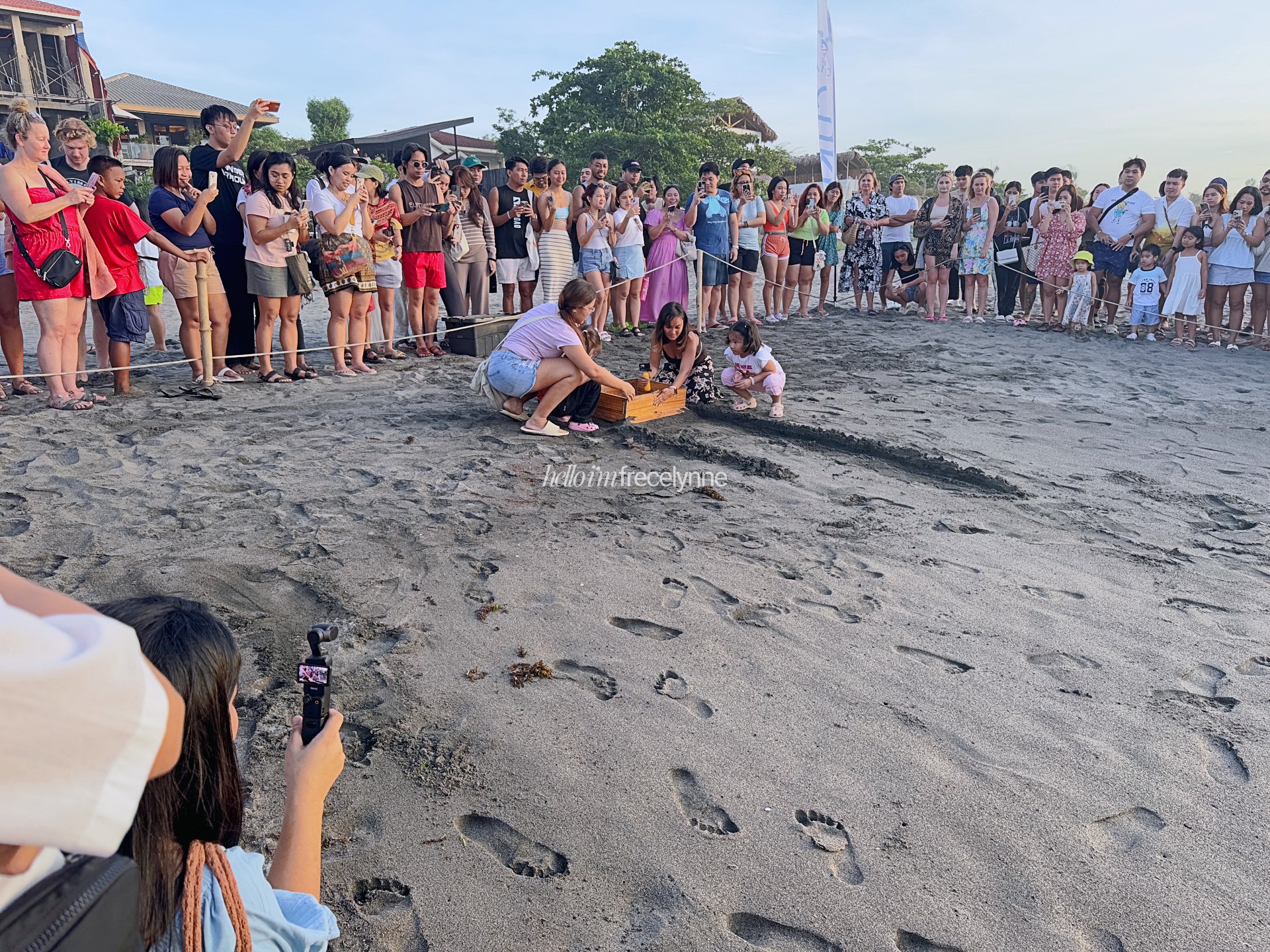 Witnessing a Sea Turtle Release at Project CURMA in La Union