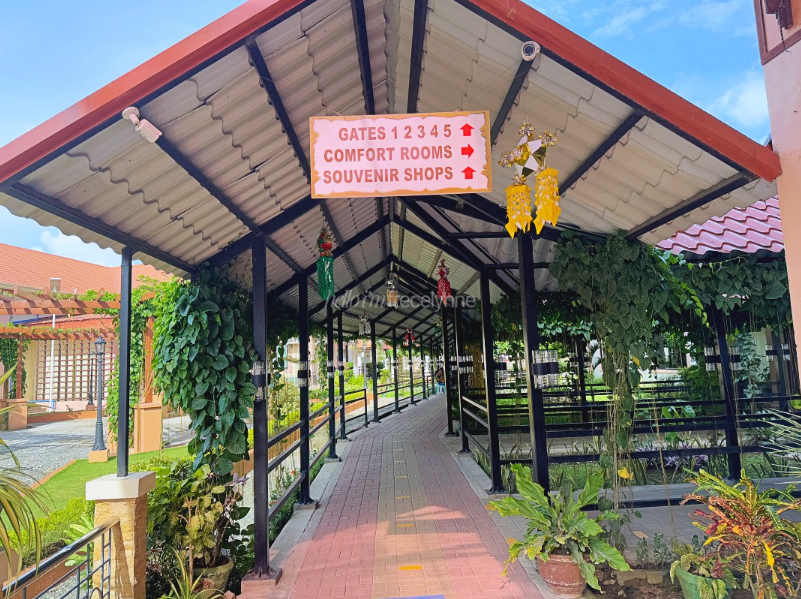 Buffet Lunch at Loboc River Cruise Bohol Review